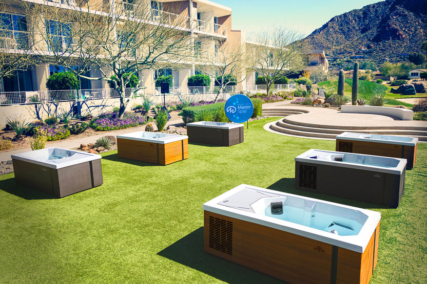 Alpine Terrain – Master Spas, LLC